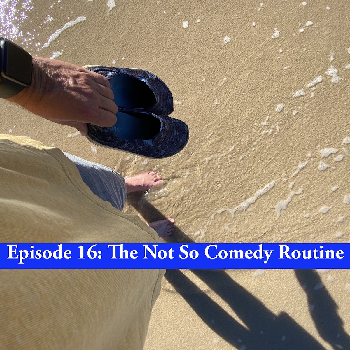 Episode 16: The Non Comedy Routine – Gentler Insanities Anonymous